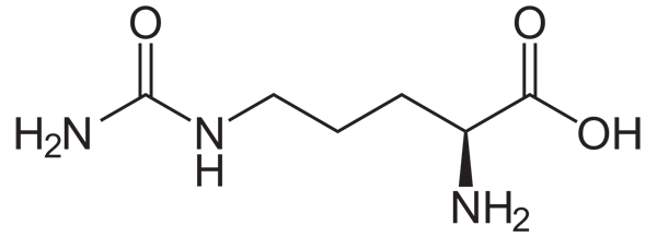 L-Citrullin Wirkung - Dosierung - Anwendung: wie Du von Citrullin ...